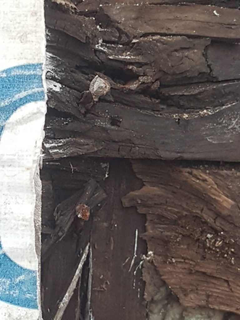 The Hidden Dangers: When Exterior Walls Hide Internal Rotten Structures